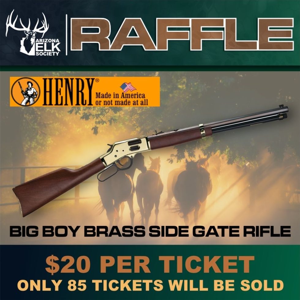 Henry Big Boy Brass Side Gate 44 Mag Raffle | AES Raffles