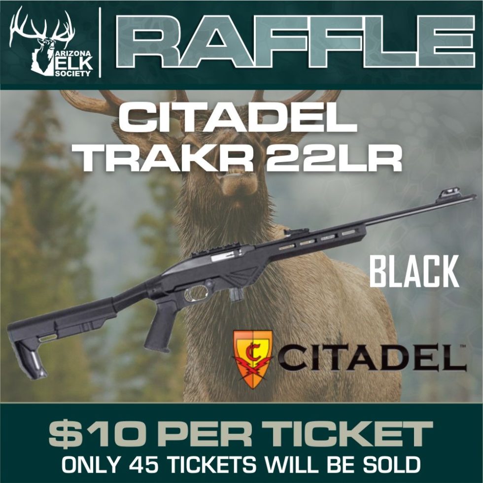 Citadel TRAKR Black Semi-Automatic Rifle 22LR Raffle | AES Raffles