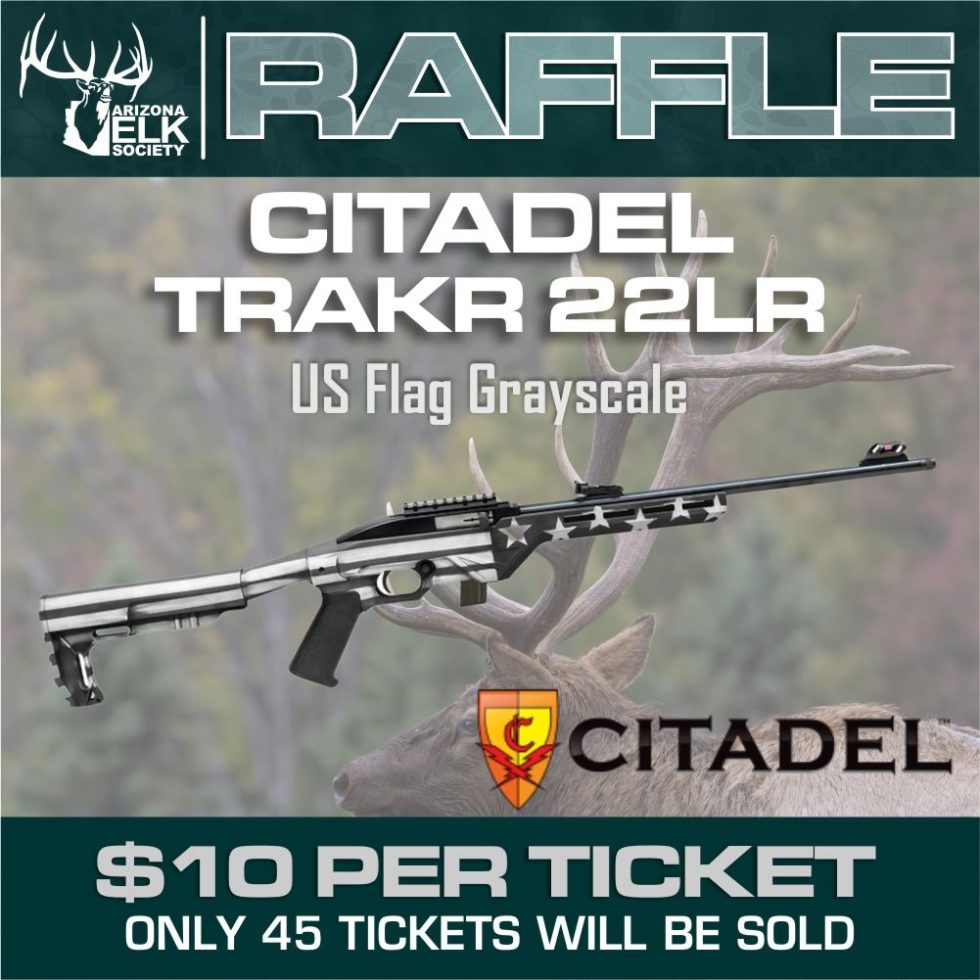 Citadel TRAKR US Flag Greyscale Semi-Automatic Rifle 22LR Raffle | AES ...
