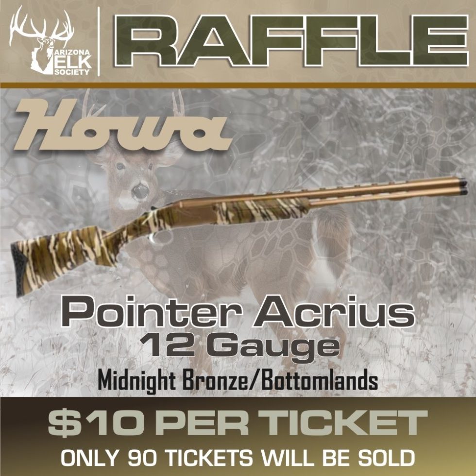 Howa Pointer Acrius Over Under 12GA. Midnight Bronze / Bottomlands ...