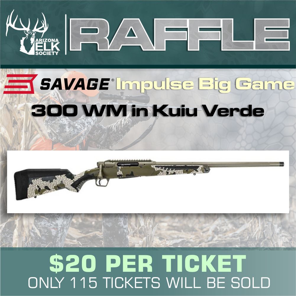 Savage Impulse Big Game 300WM in Kuiu Verde Rifle Raffle | AES Raffles
