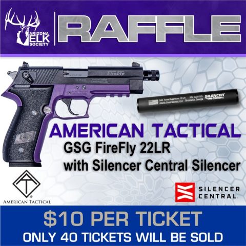 American Tactical GSG Firefly 22LR With Silencer Central Silencer ...