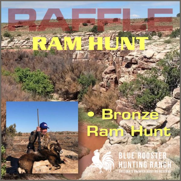 Blue Rooster Ranch Bronze Ram Hunt Raffle | AES Raffles